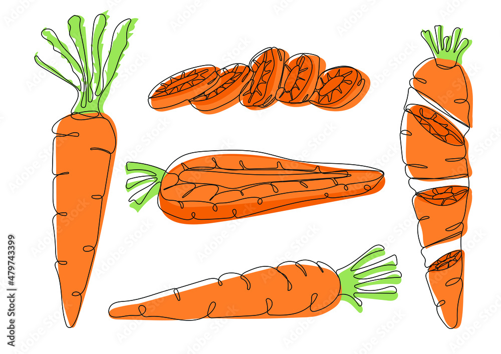 Carrot set: half, slice and whole. Set of vegetables in line art ...