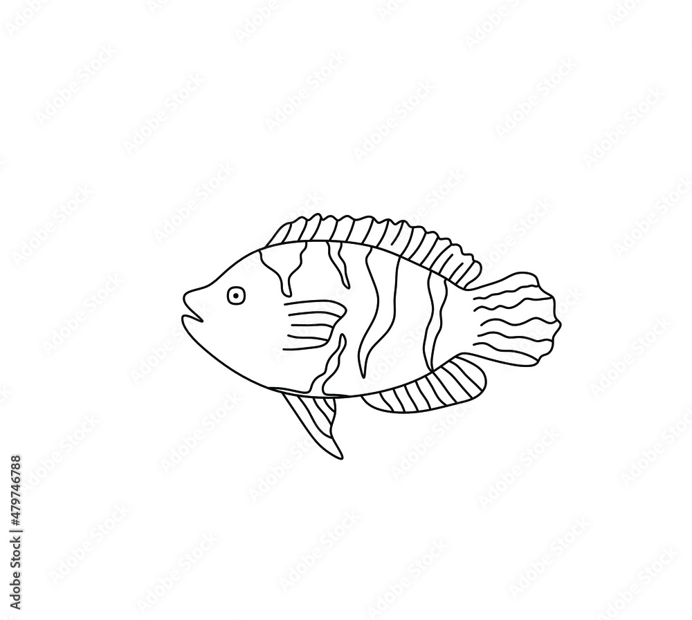 Vector isolated cute cartoon beautiful fish colorless coloring page ...