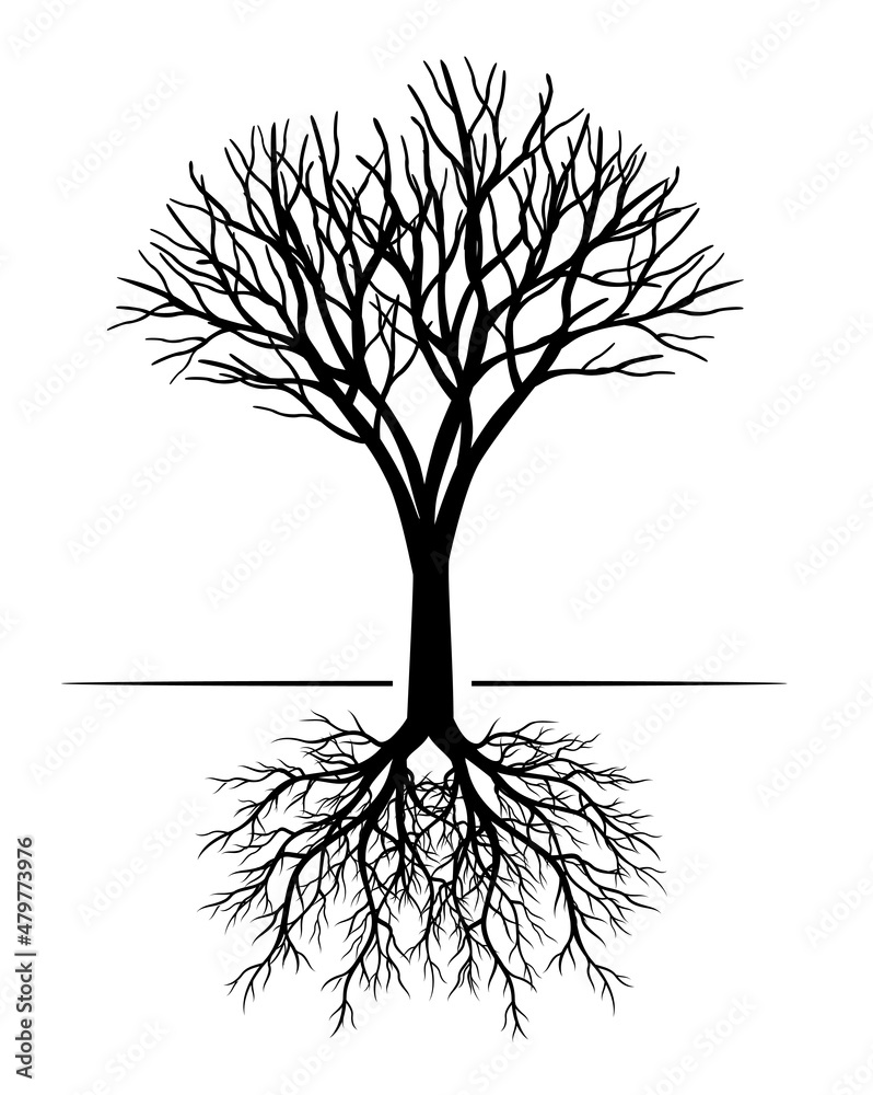 Black Tree with Roots. Vector outline Illustration. Stock Vector ...