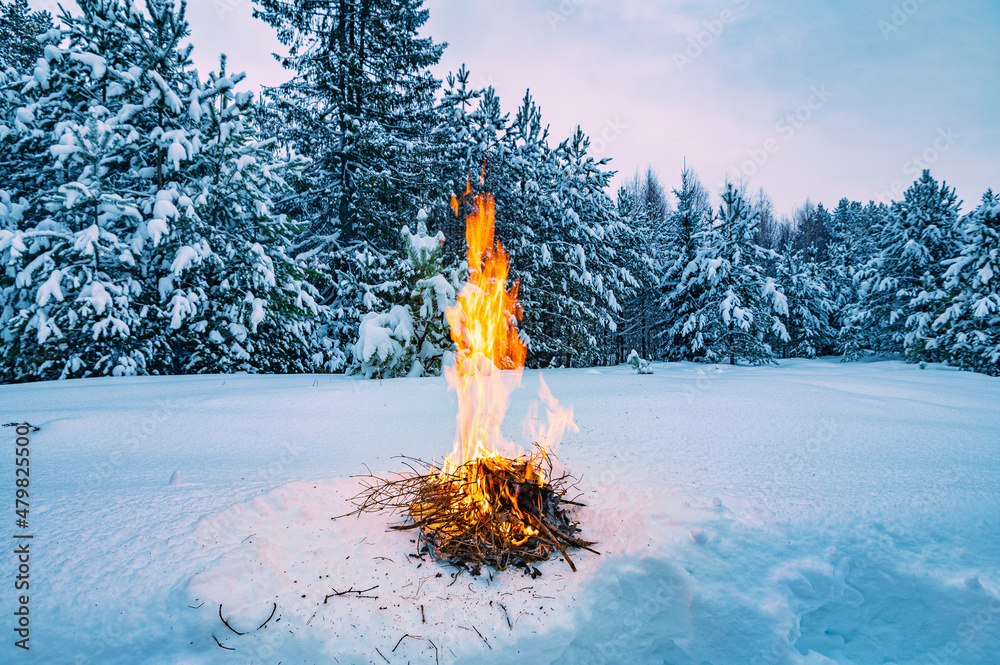 Campfire burns in the snow in the woods, on a background of snow ...