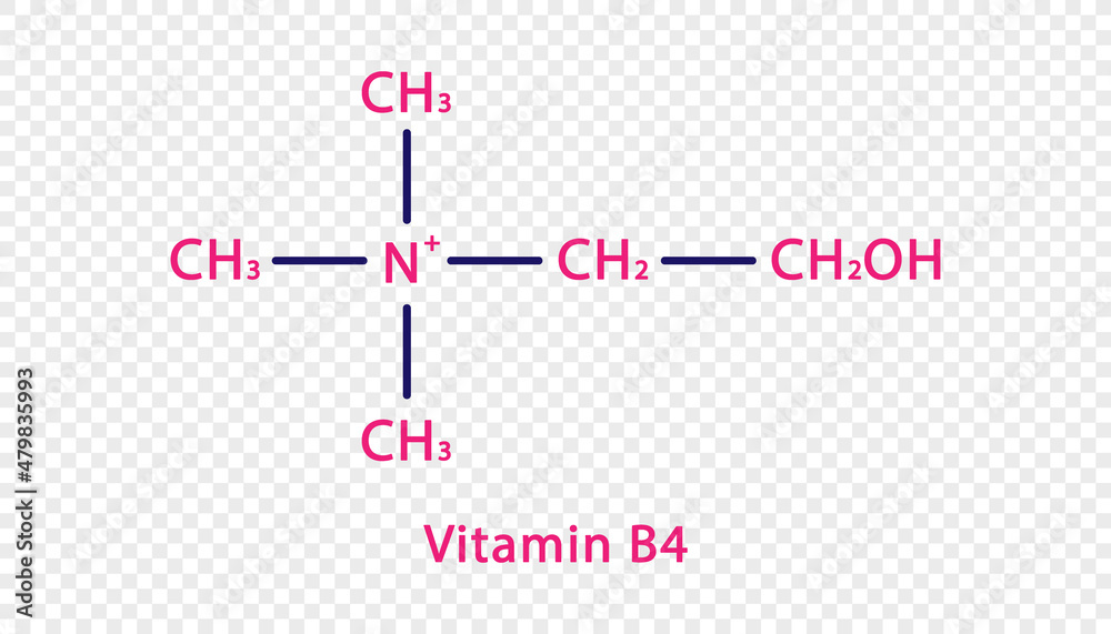 Vitamin B4 chemical formula. Vitamin B4 structural chemical formula ...