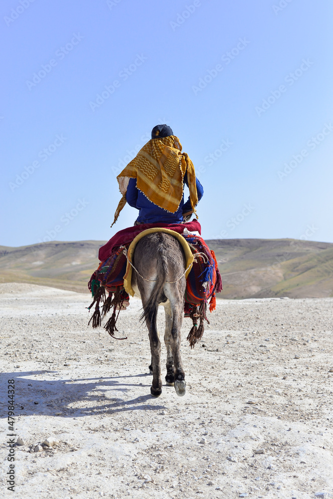 Donkey and bedouin in Westbank Israel, Judean desert, Israeli ...