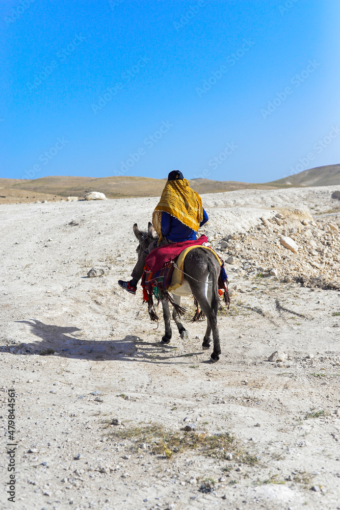 Donkey and bedouin in Westbank Israel, Judean desert, Israeli ...