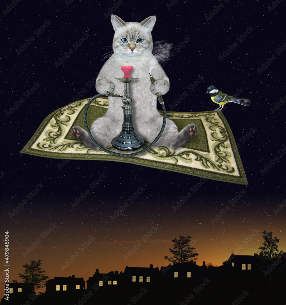 An ashen cat is smoking a hookah on a magic carpet in the night sky ...