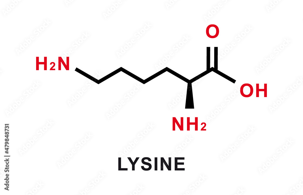 Lysine chemical formula. Lysine chemical molecular structure. Vector ...