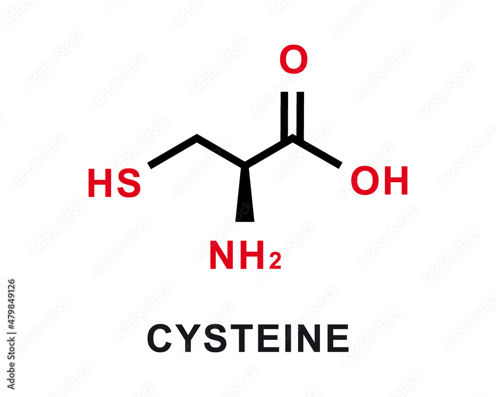 Cysteine chemical formula. Cysteine chemical molecular structure ...