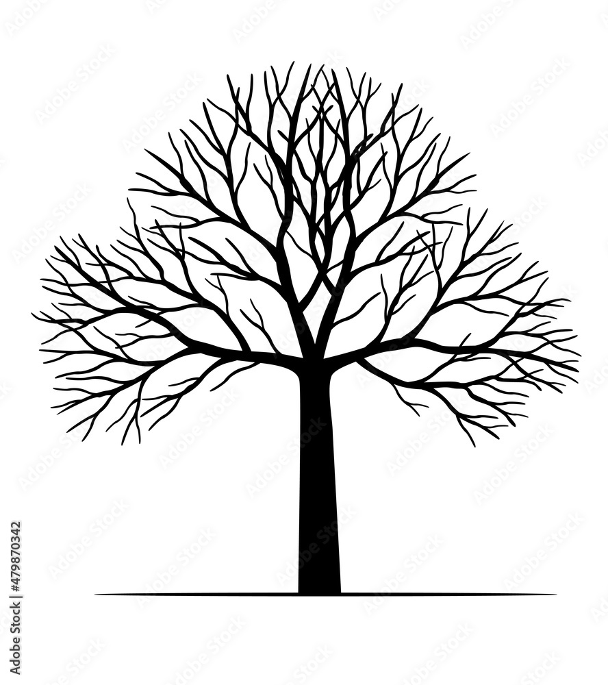 Shape of Black Tree. Vector outline Illustration. Plant in Garden ...