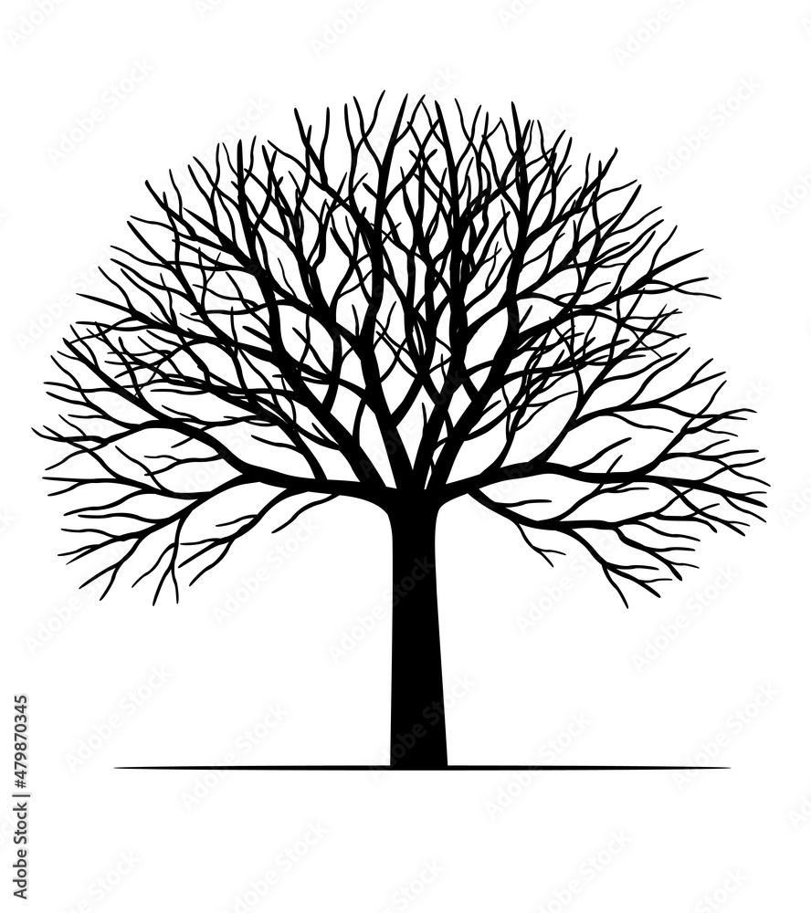 Shape of Black Tree. Vector outline Illustration. Plant in Garden ...