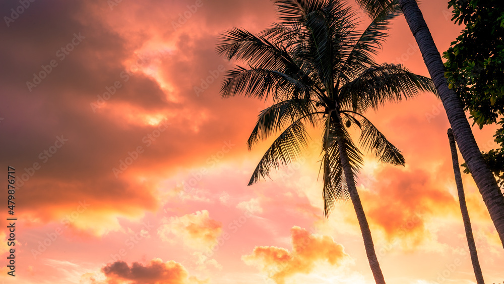 Panoramic nature background (mountains, sea, trees, twilight lights in ...