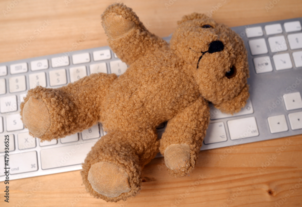 Teddy bear laying a computer keyboard . attention symbol kids and ...
