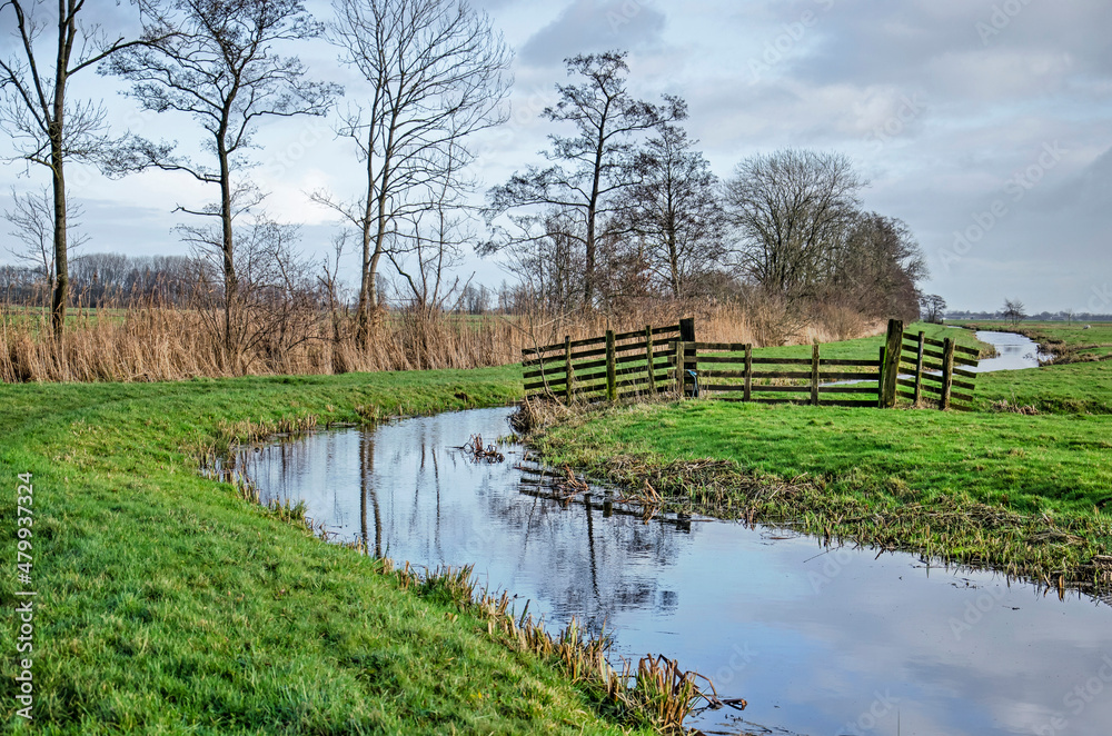 Picturesque scene in Krimpenerwaard polder, the Netherlands, with a ...