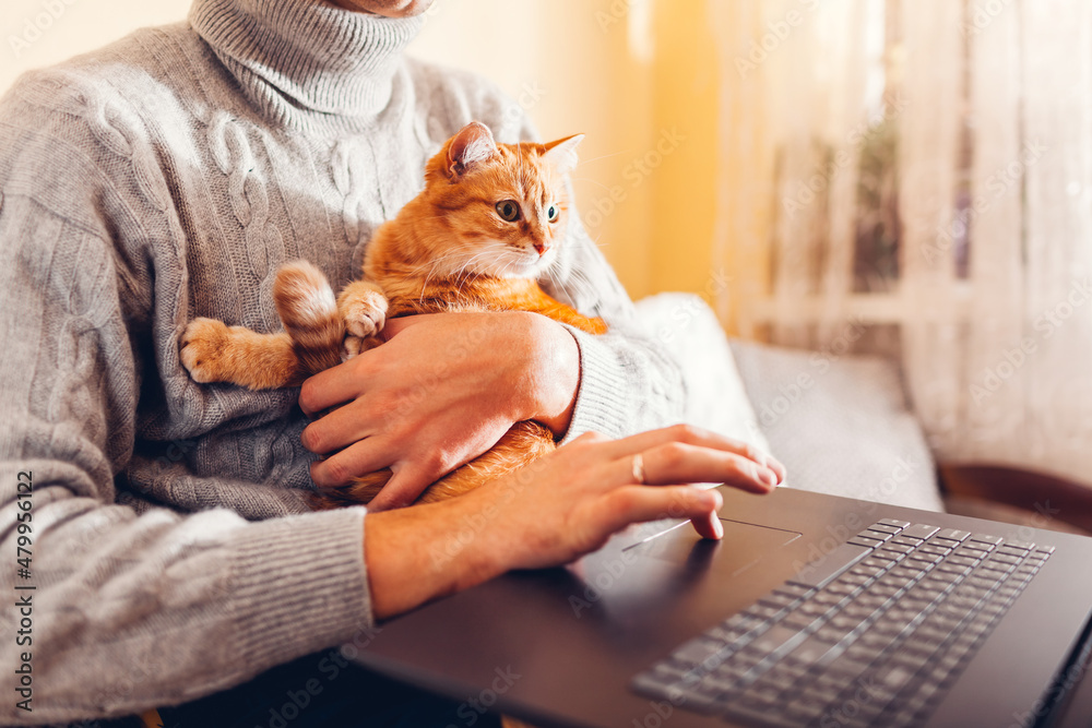 Animal Typing Computer