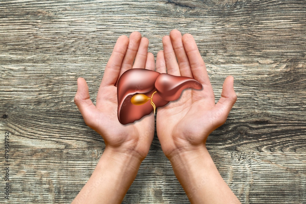 Human hands holding healthy liver shape on desk background. Stock Photo ...