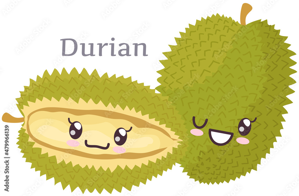 Durian sticker kawaii icon vector design. Adorable charming tropical ...