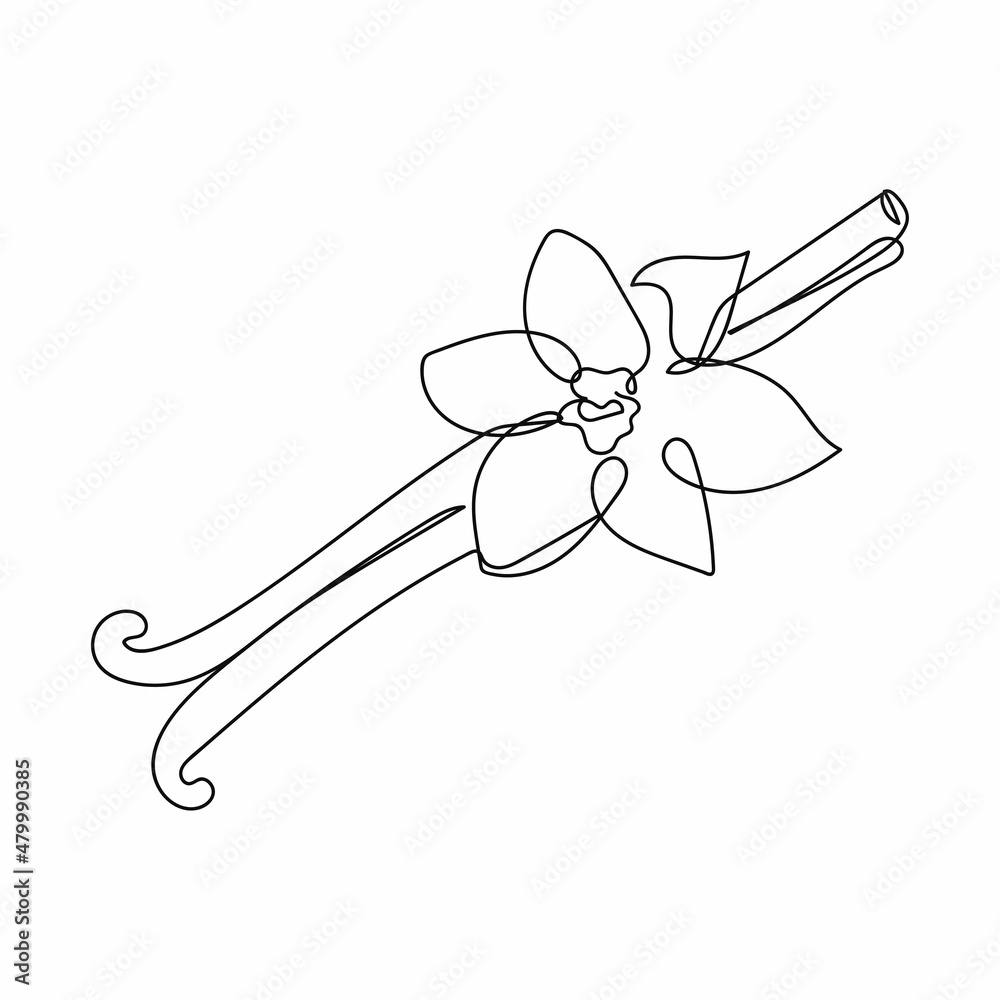 Continuous one simple single abstract line drawing of vanilla pods icon ...