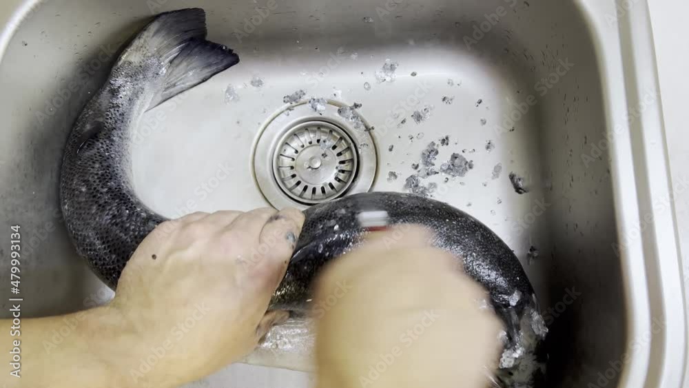 Cook gut the fish. Man's hands peel salmon from scales with a sharp ...