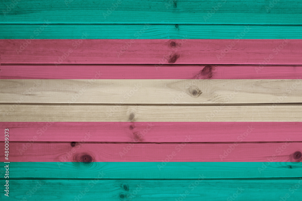 striped Nonbinary Trans Flag: Combining the Non-binary and Transgender ...