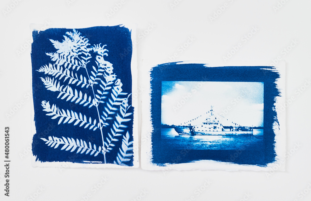 Two cyanotypes print sheets isolated on white background. Stock Photo ...