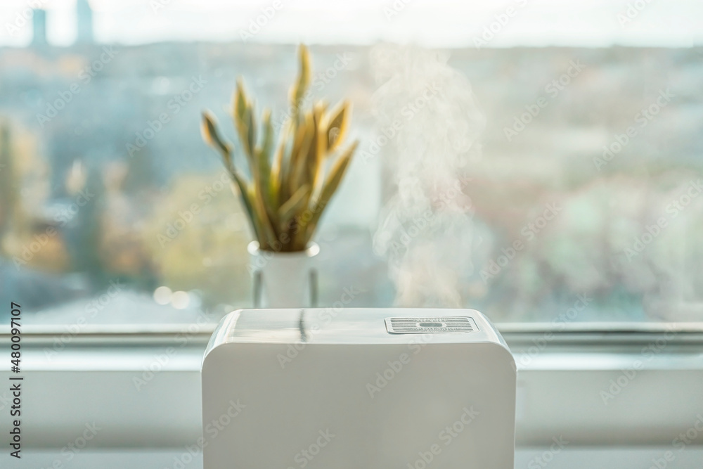 Air humidifier making hot steam to increase humidity at home during dry ...