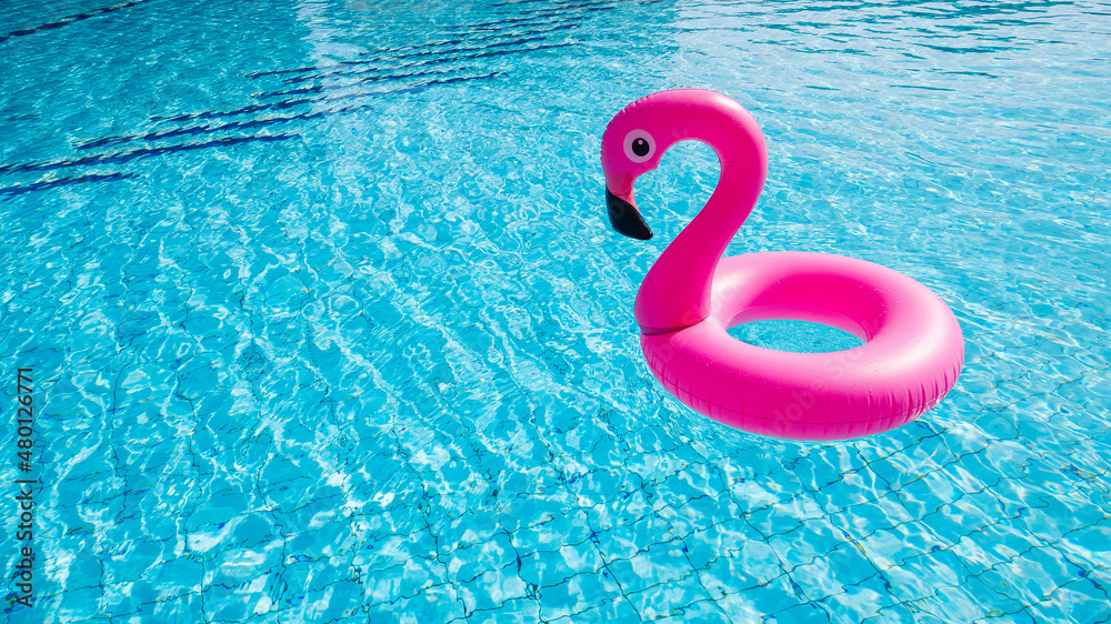 Pink pool. Pink inflatable flamingo in water for summer beach ...