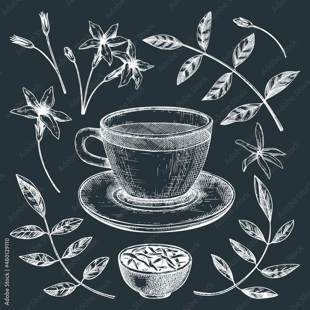 Hand-sketched jasmine tea in a glass mug illustrations on chalkboard ...