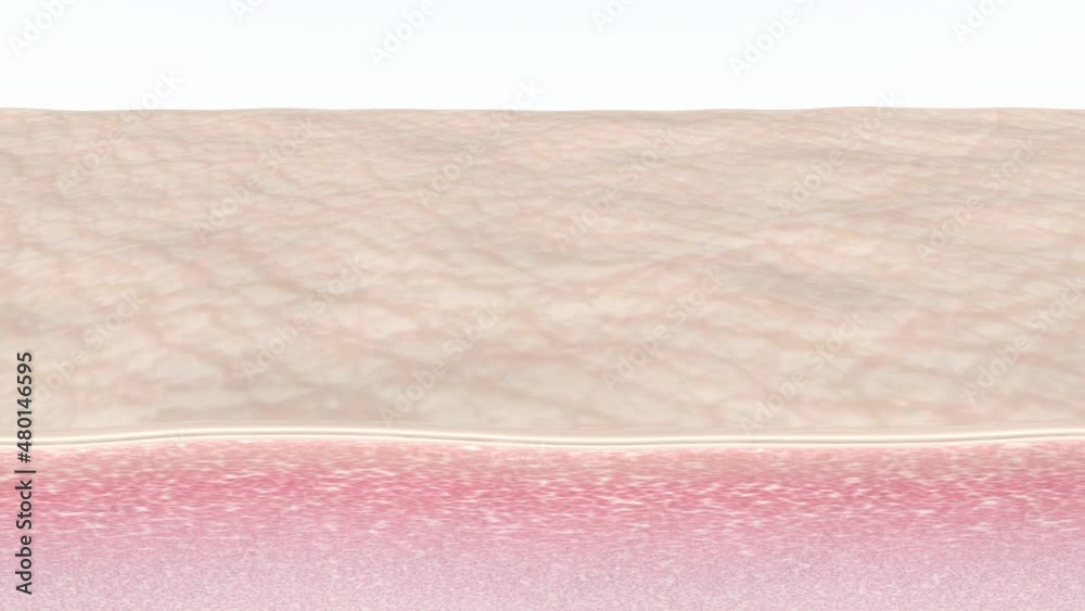 Skin care 3D animation showing skin exfoliation process, removing of ...