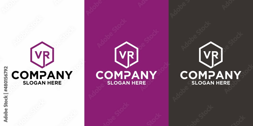 Initial letter V R logo hexagon vector design template Stock Vector ...