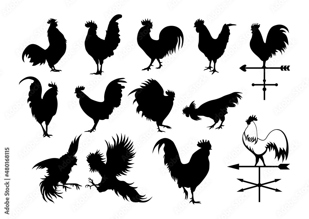 Fighting Rooster Silhouette