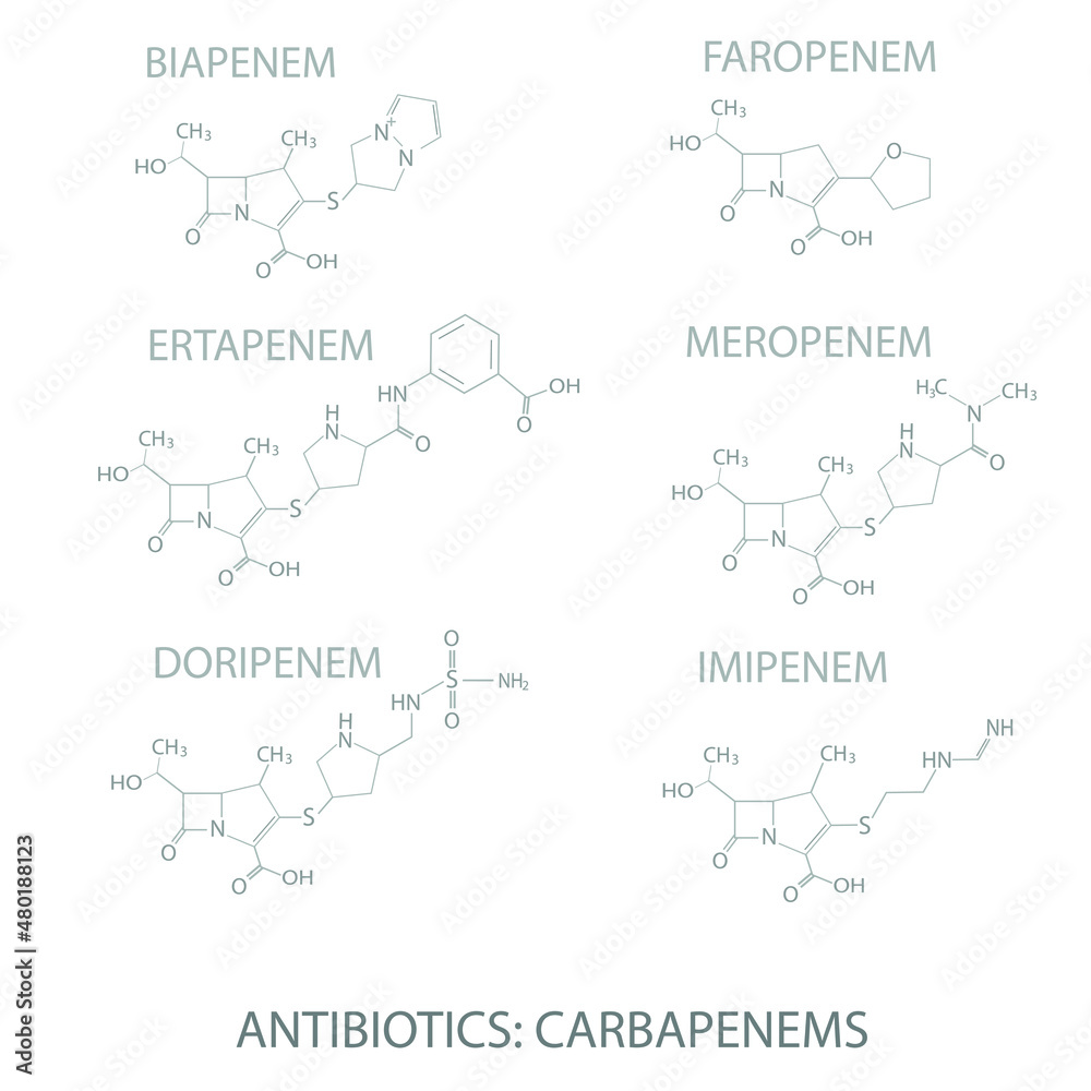 Antibiotics carbapenems molecular skeletal chemical formula. Stock ...