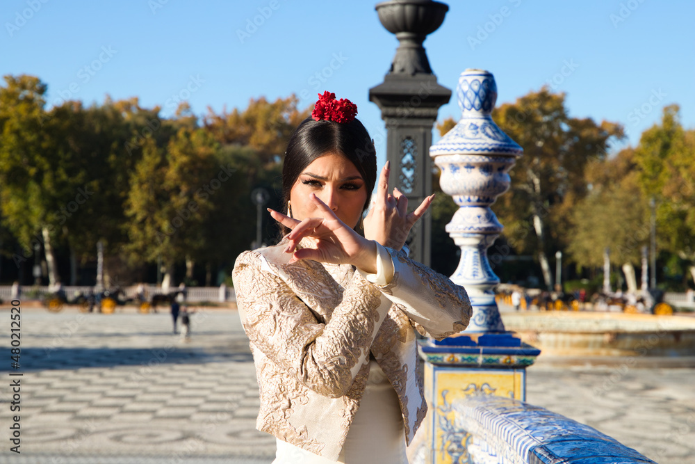 Flamenco dancer, woman, brunette and beautiful typical spanish dancer ...