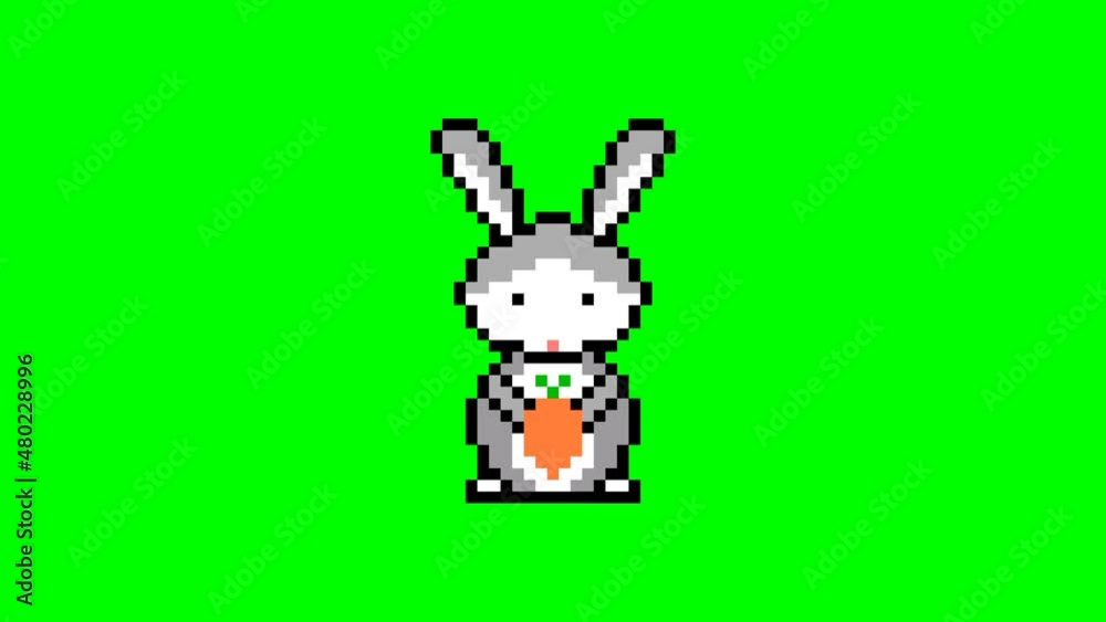cute rabbit pixel art on green screen 2d animation Stock 비디오 | Adobe Stock