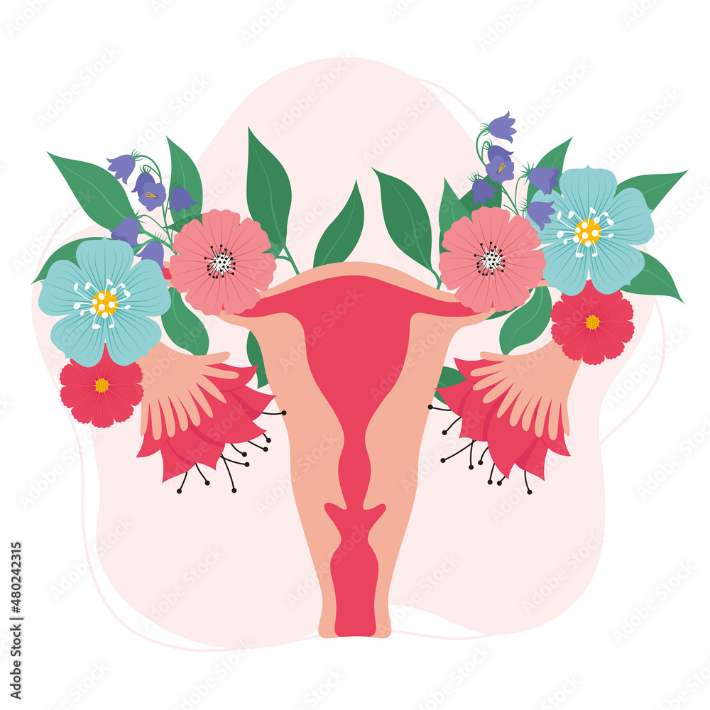 Female reproductive system with flowers. Uterus, womb female ...