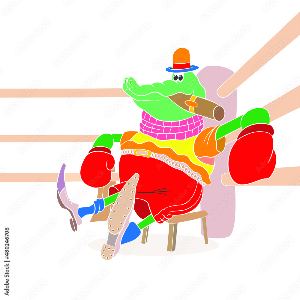 crocodile in boxing gloves in the ring, smoking a cigar, on an isolated ...