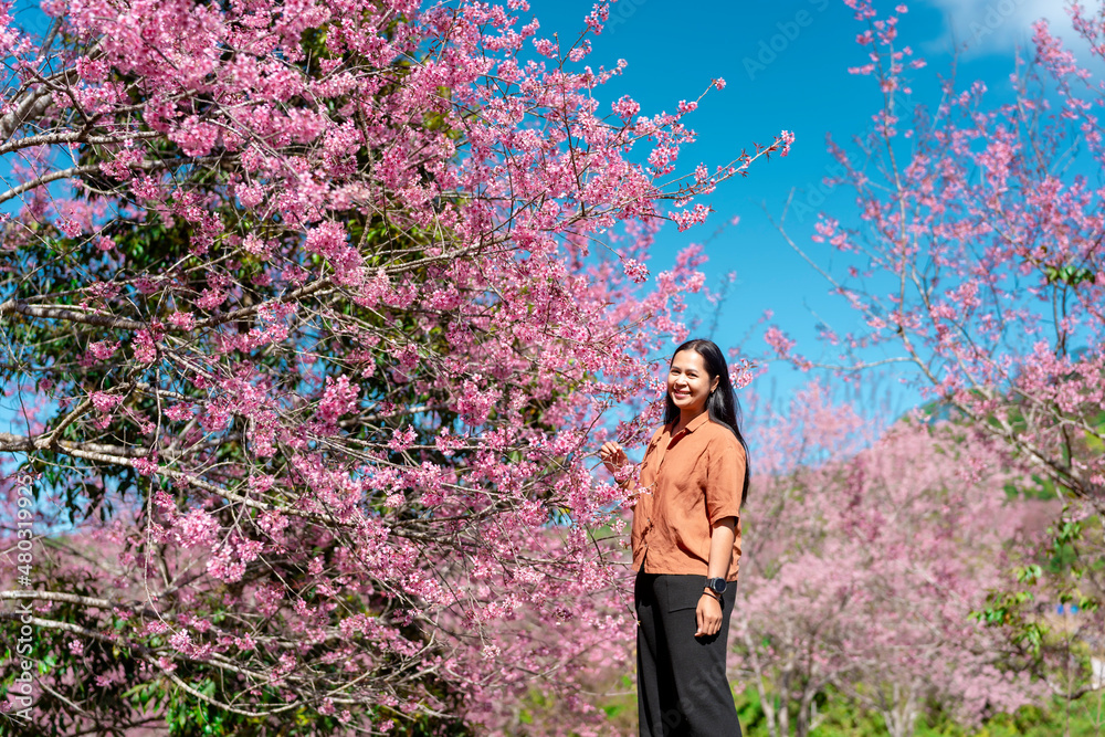 Asian female tourist wearing brown shirt Stand under the pink Phaya Sua ...