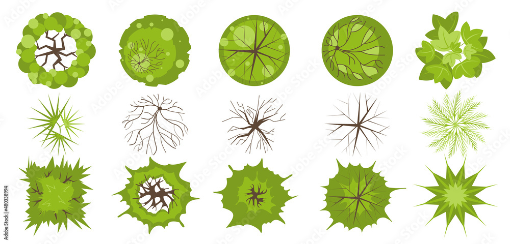 Trees, bushes and plants top view for architectural and landscape ...
