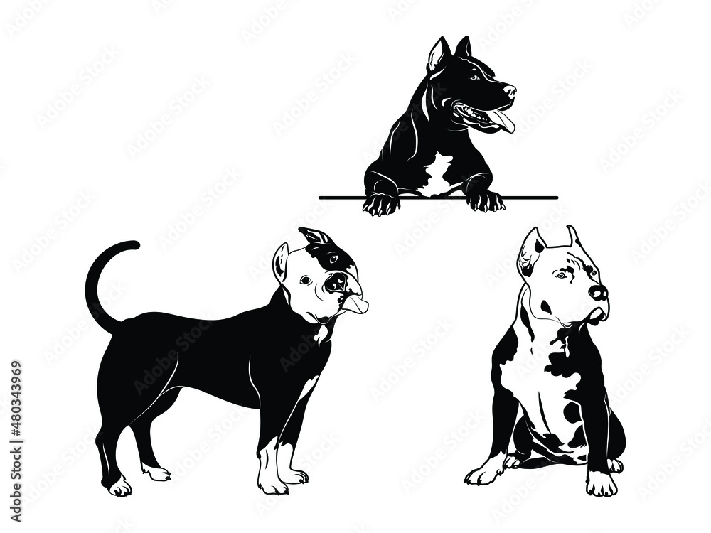 Pitbull Outline Tattoo