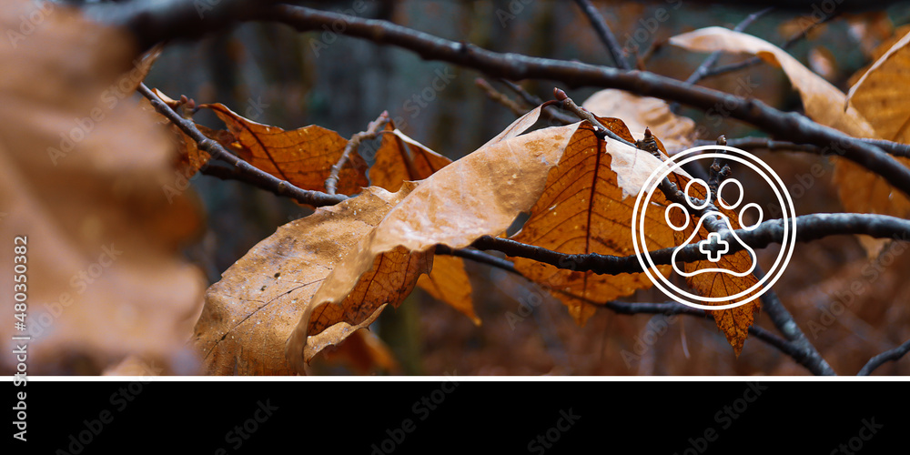 Sustainable development goals Banner - Graphic resources for climate ...