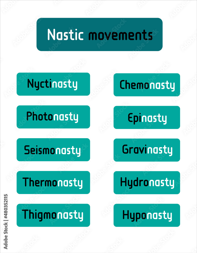 Different types of plants nastic movements. Education classification ...