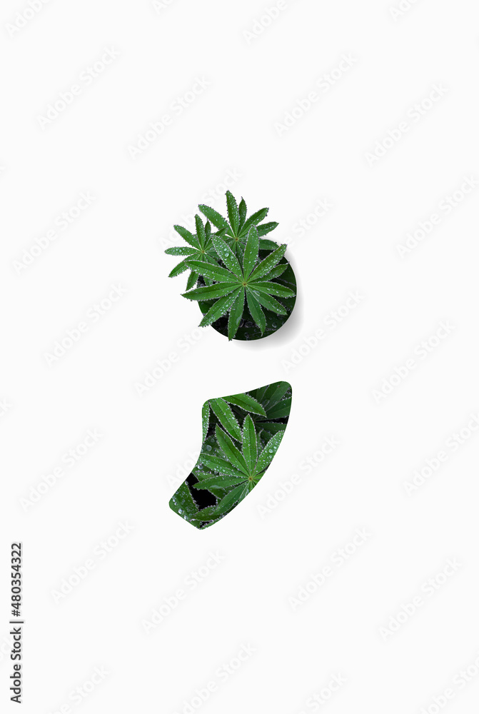 Punctuation marks are semicolons isolated on a white background ...