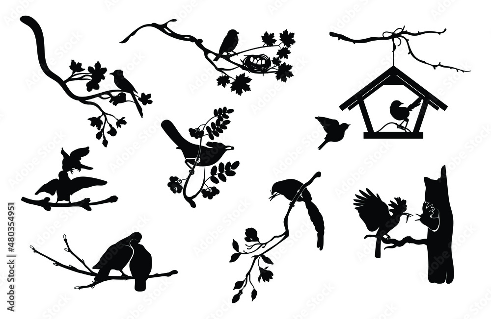 Set of silhouettes of birds sitting on tree branches. Collection of ...