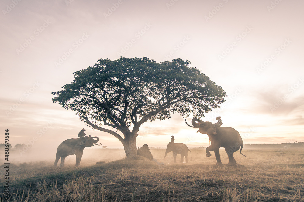 Photo & Art Print Cinematic representation of countryside culture of ...