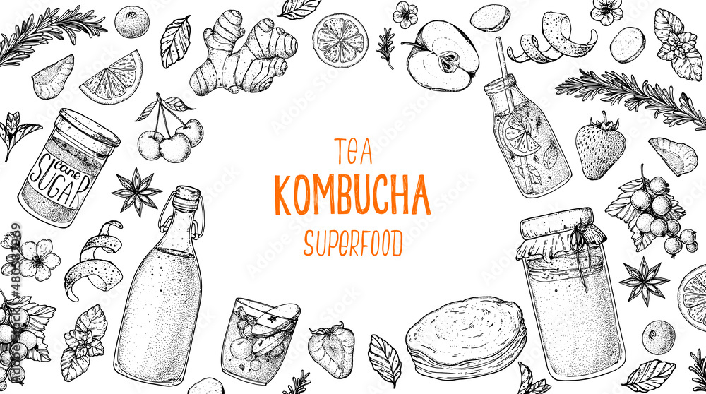 Kombucha tea and ingredients for kombucha sketch. Hand drawn vector ...