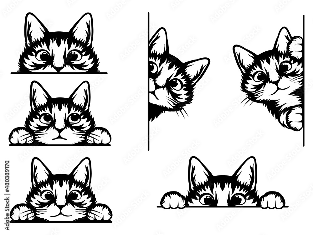 Set of striped cats looking out the window. Collection of cartoon cats ...