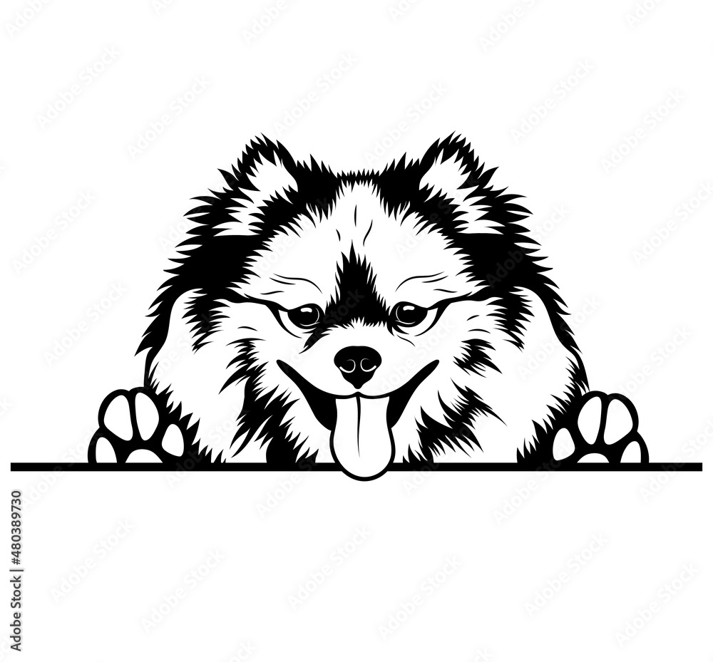 Dogs of the corner. Dog looking out the window. Vector illustration on ...
