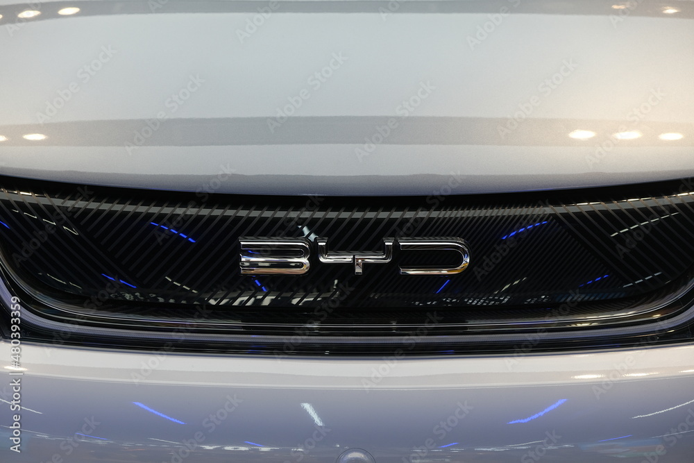 Shanghai.China-Jan.14th 2022: close up BYD car logo. BYD (Build Your ...
