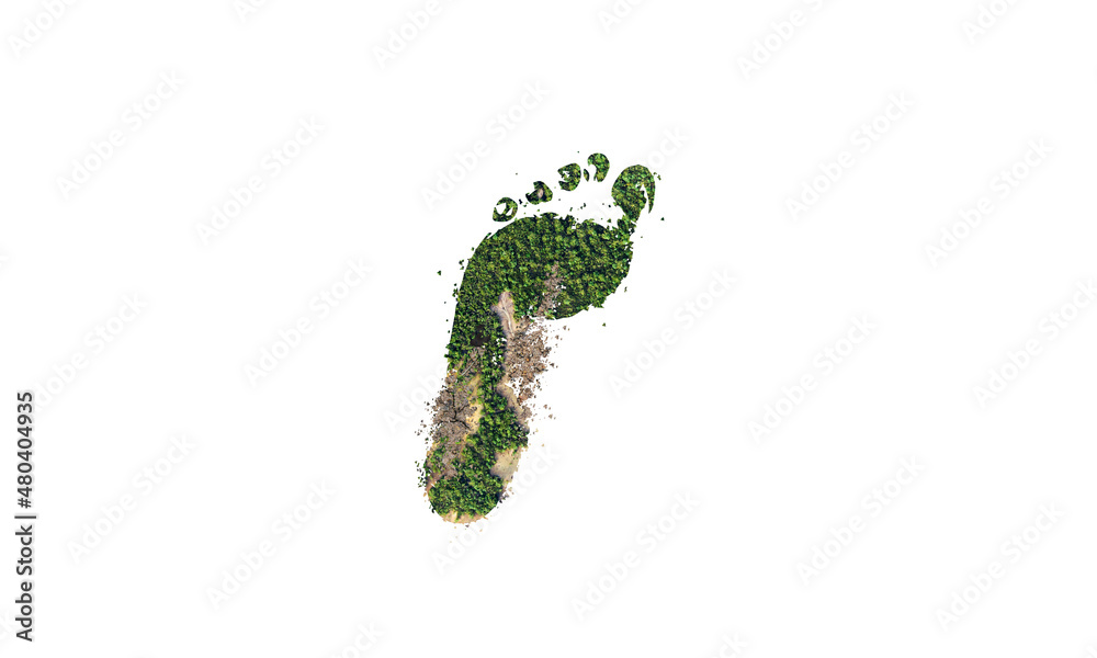 Green trees footstep, ecology concept. World environment day concept ...
