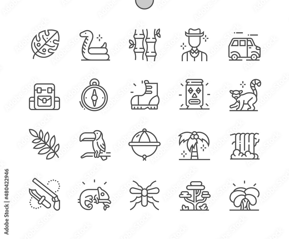 Jungle. Tropical shrubs. Safari hat. Bamboo. Sacred totem. Jungle tree ...