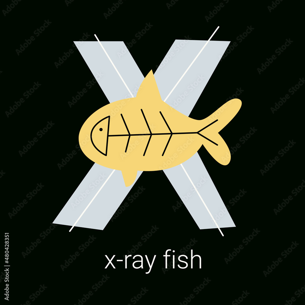 Vector flat illustration for children's alphabet. The letter X and x ...