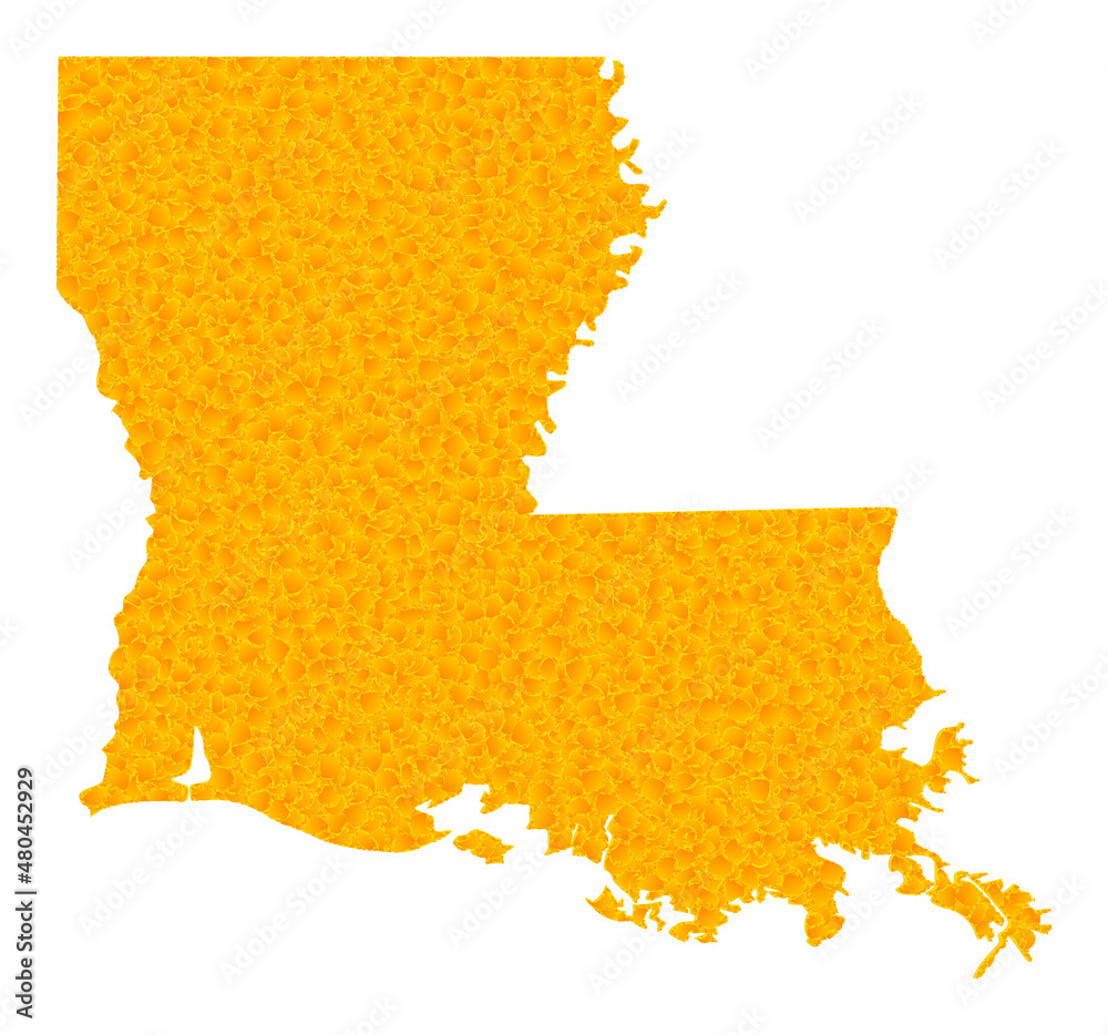 Vector Golden map of Louisiana State. Map of Louisiana State is ...