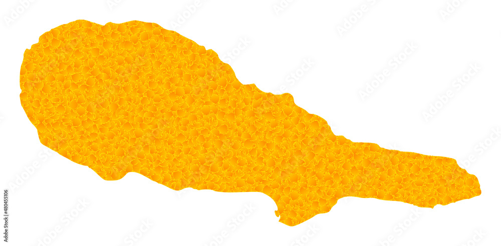 Vector Golden map of Pico Island. Map of Pico Island is isolated on a ...